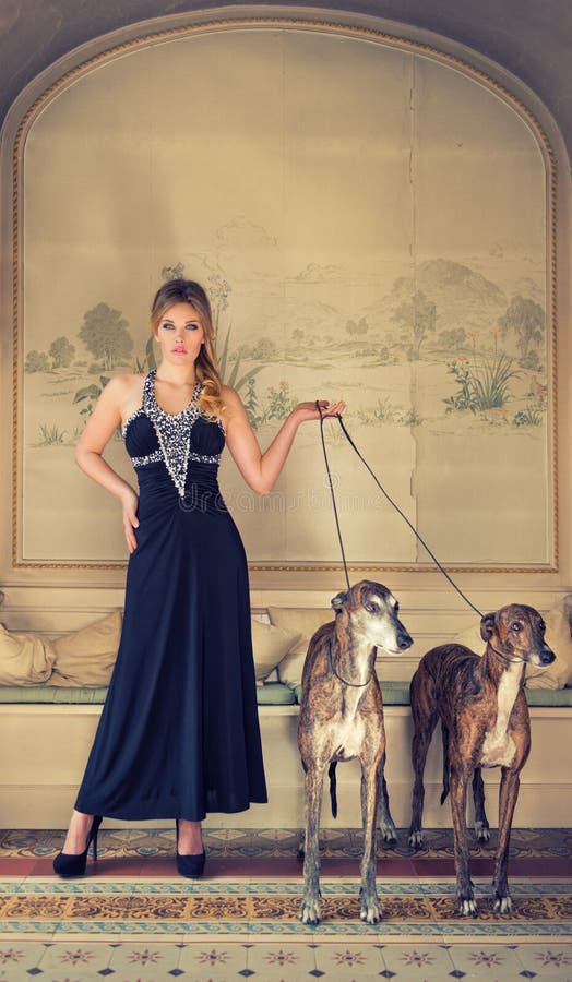 Lady Greyhounds Stock Photos - Free & Royalty-Free Stock Photos from ...