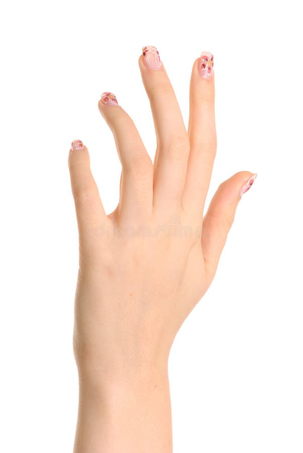 Woman hand stock photo. Image of vertical, isolated, adult - 11221028