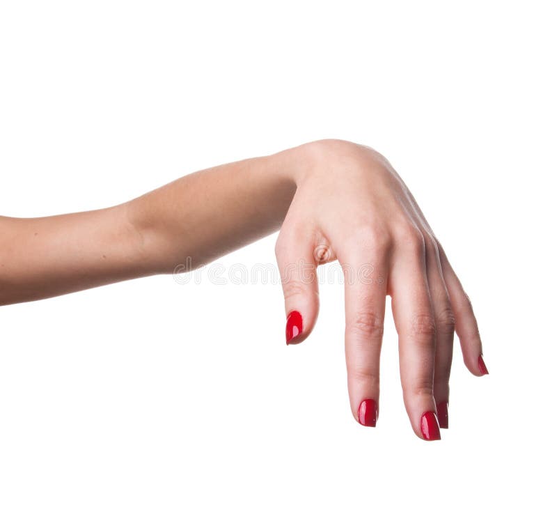 Woman hand stock image. Image of clean, wrist, hands - 11239067