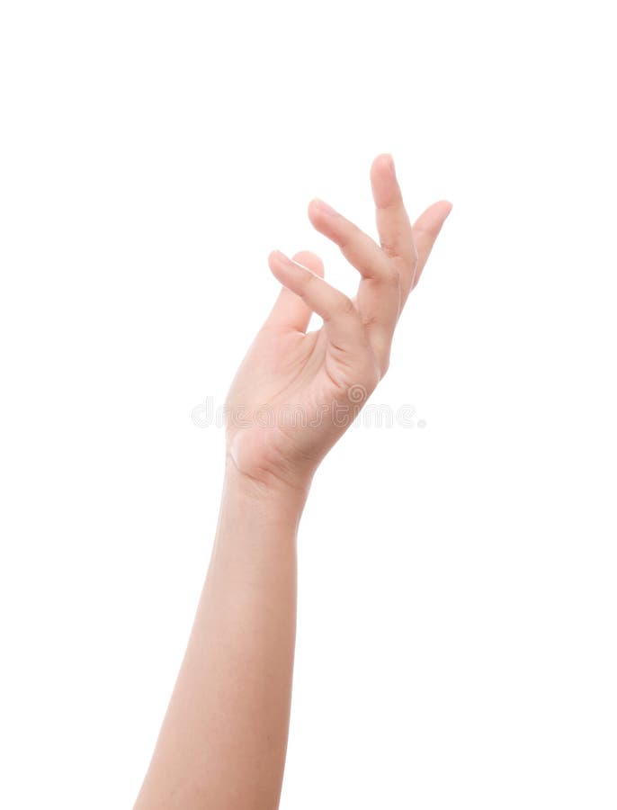 Beautiful Woman Hand Holding Isolated on White Stock Image - Image of ...