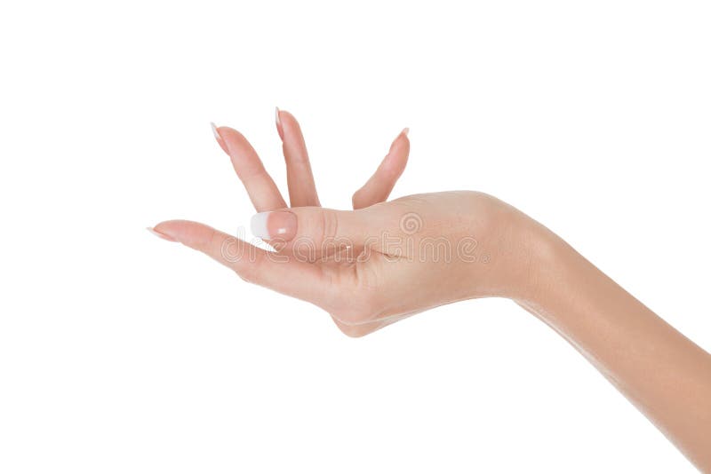 Woman hand stock photo. Image of human, isolated, ideas - 28517608