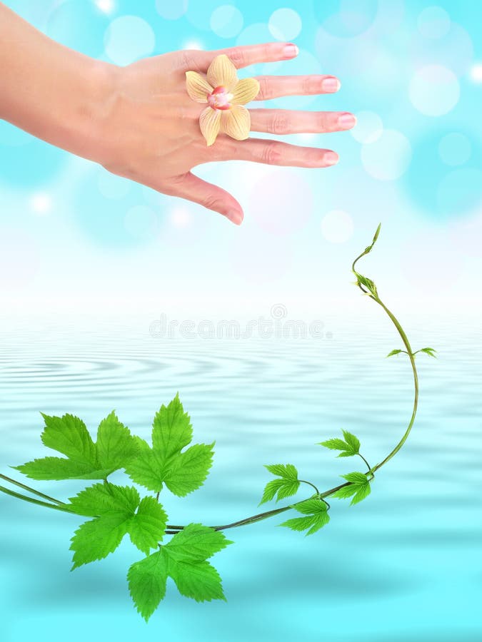 Woman Hand Above Water Level Stock Illustrations – 1 Woman Hand Above ...