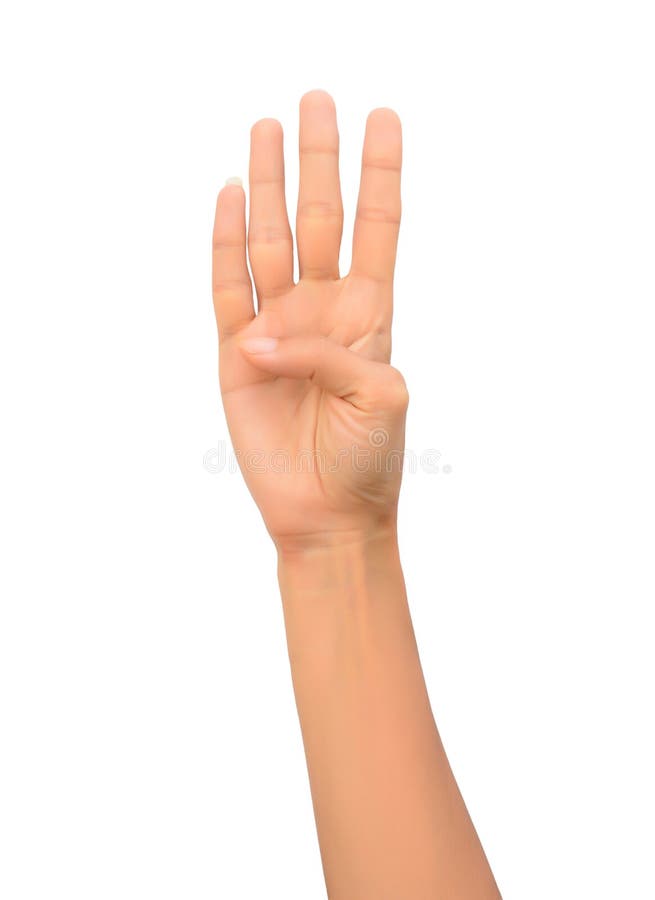 Woman hand stock photo. Image of finger, carrying, palm - 60131170