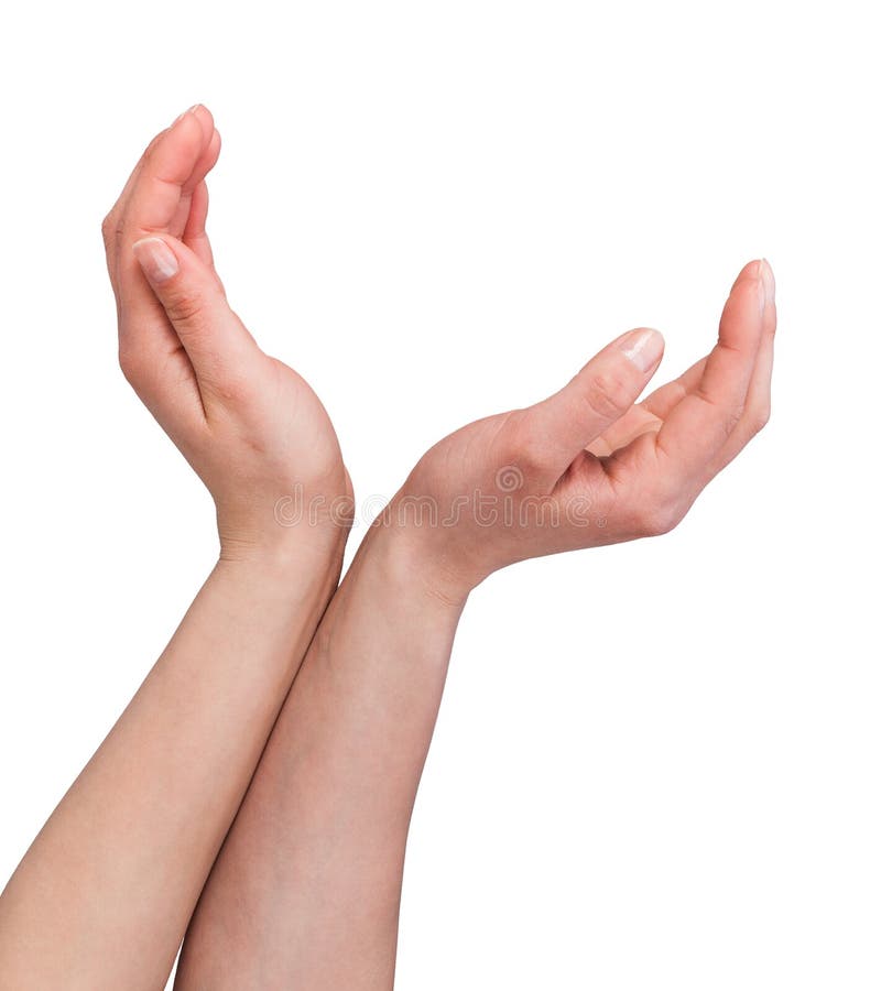 Woman hand stock photo. Image of hand, clean, care, french - 10797442