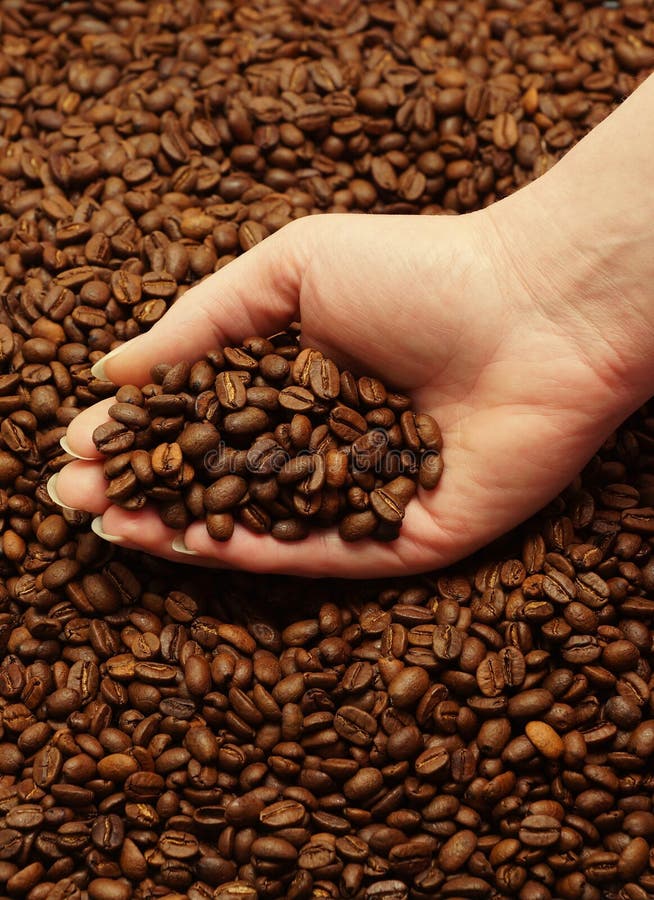 Woman Hand and Coffee Beans Stock Image - Image of freshly, beverage ...