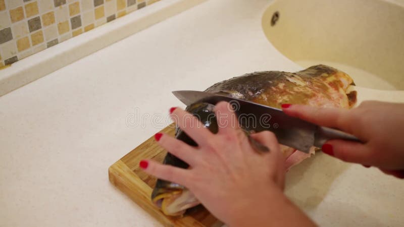 Woman Hand Using Knife To Cut White Onion on Wooden Cutting Board ...