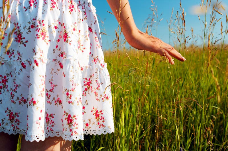 Woman Hand In Field Picture. Image: 4543096
