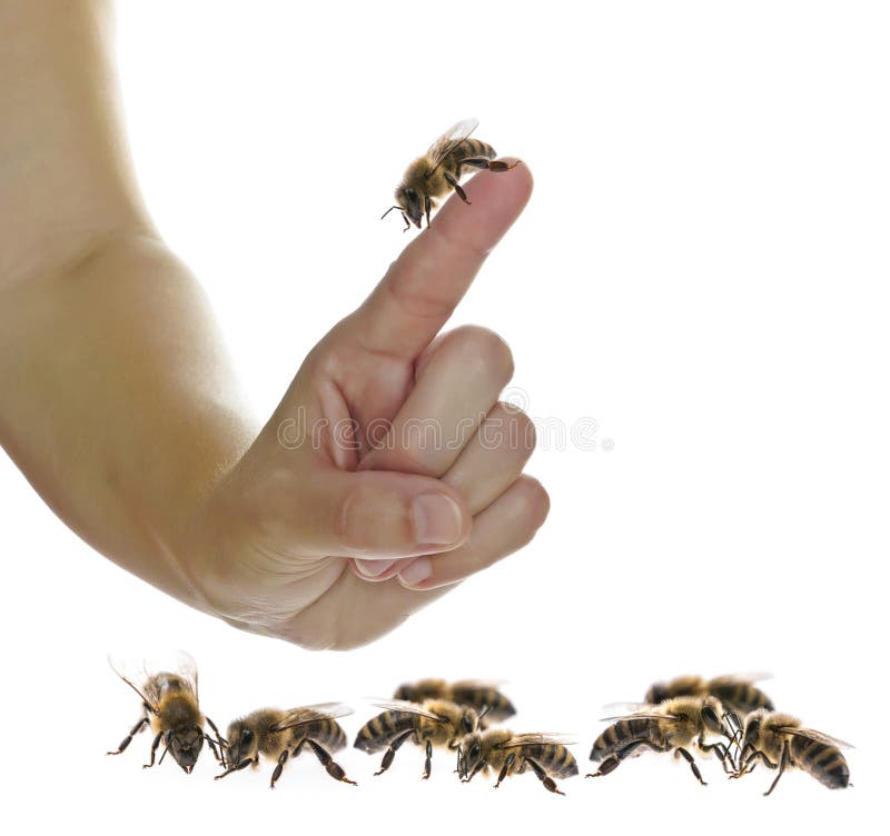 Finger up with bee stock photo. Image of woman, gesture - 118258710