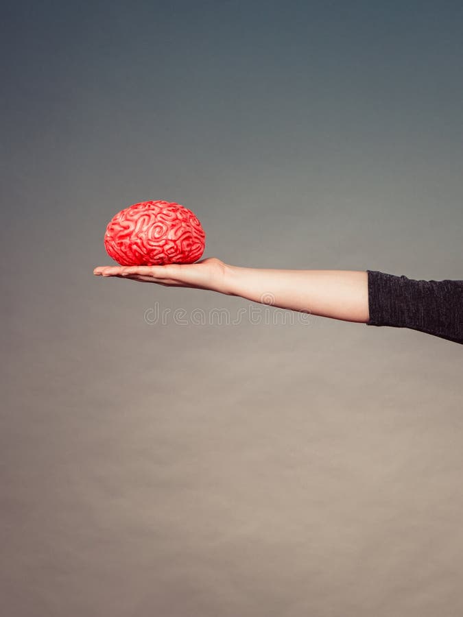 Woman hand holding brain stock image. Image of anatomy - 90617517