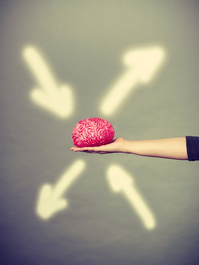 Woman hand holding brain stock image. Image of brain - 101832959