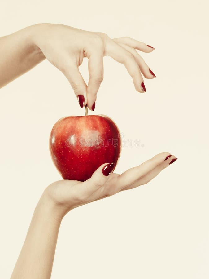 Woman Hand Holding Delicious Red Apple Stock Image Image Of Hand