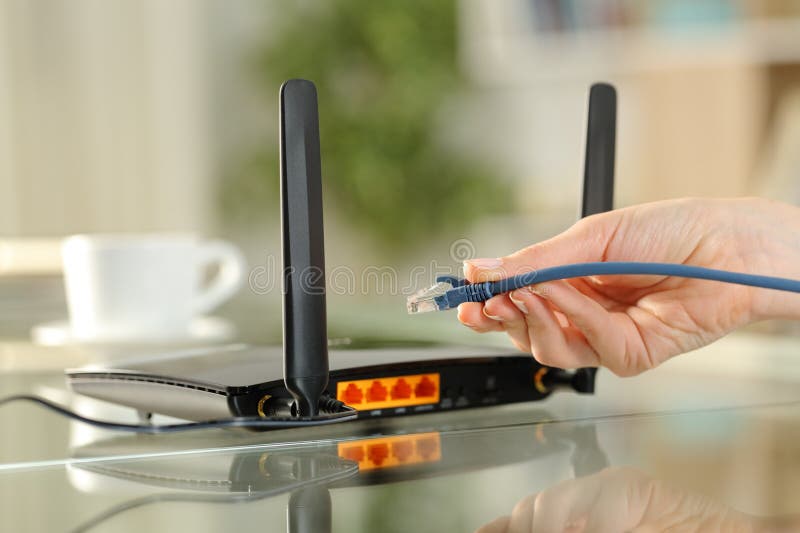 Woman Hand Holding Ethernet Cable Ready To Plug in Modem Stock Image ...