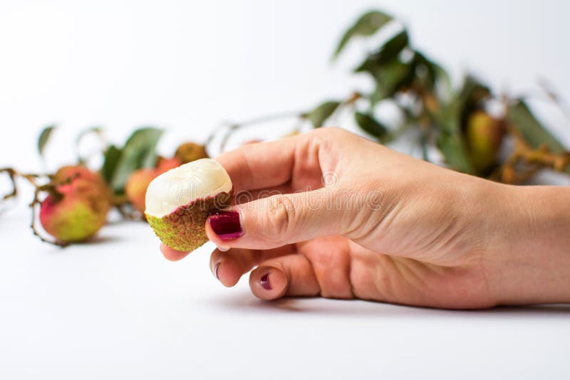Woman Hand Holding Lychee Fruit on White Stock Image - Image of leche ...