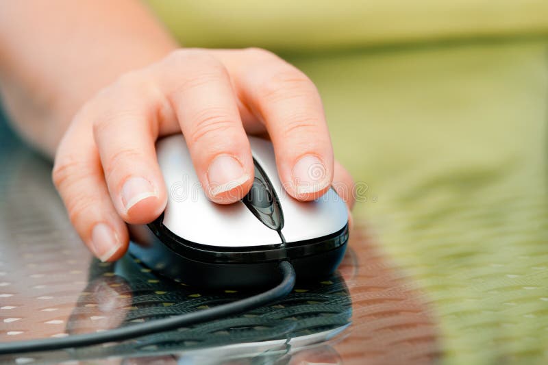 Woman hand holding mouse stock photo. Image of instrument - 40799810