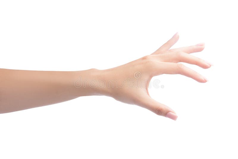 Woman hand holding object stock image. Image of clipping - 68962373
