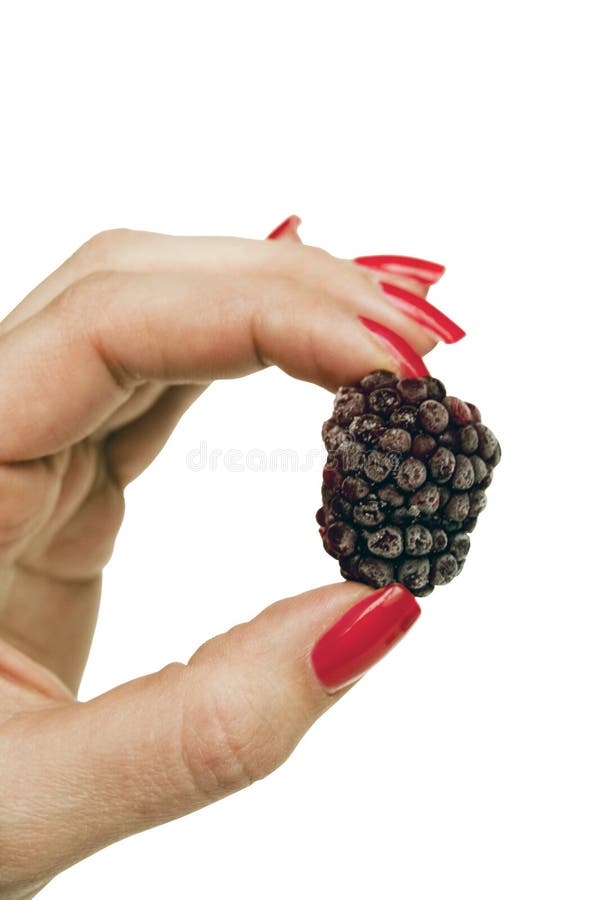 Woman Hand Holding Raspberry Stock Image - Image of brambleberry ...