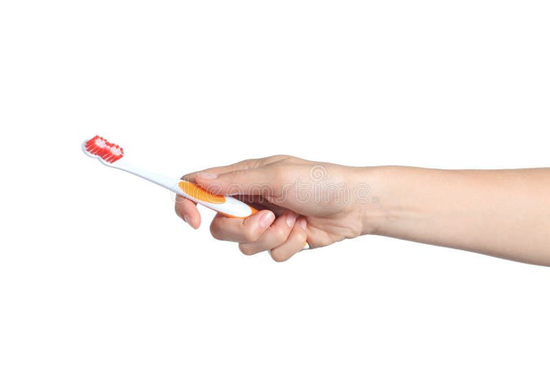 Woman Hand Holding a Toothbrush Stock Photo - Image of hands, adult ...