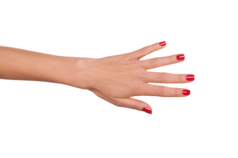 Woman hand. stock photo. Image of hold, female, care - 45384272