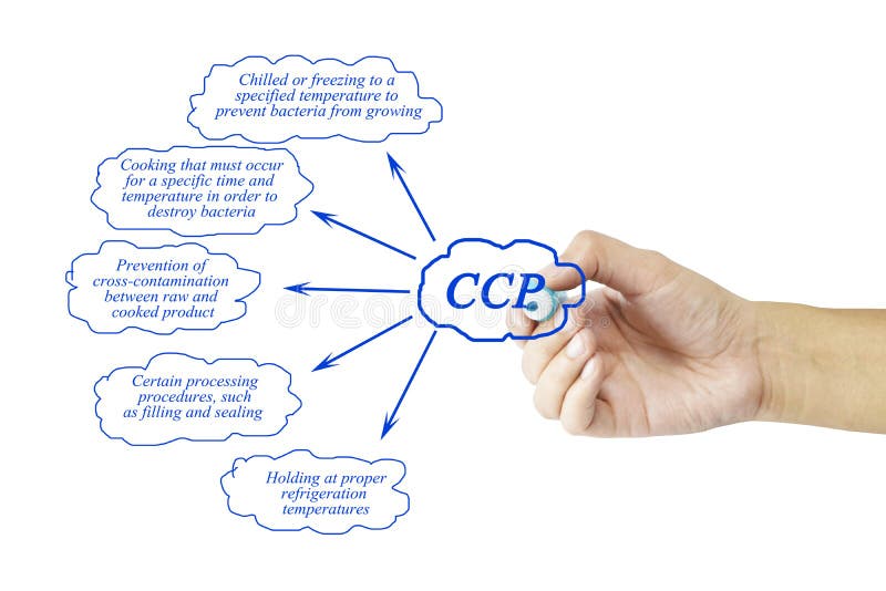 Woman Hand and Presentation of Critical Control Point (CCP) Concept for ...
