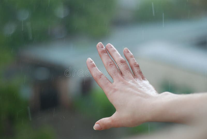 Hand Catching Raindrops Stock Photos - Free & Royalty-Free Stock Photos ...