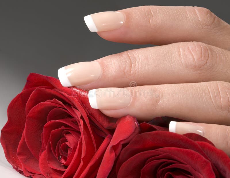 Woman hand with red roses stock image. Image of hand, manicure - 6035257