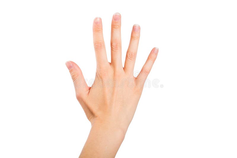 Woman Hand on White Background Stock Photo - Image of hand, close: 84467232