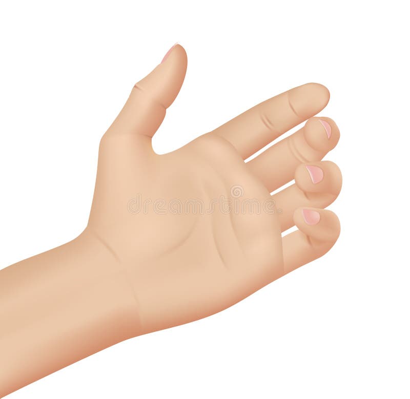 Woman Hand on White Background, Realistic Vector Illustration Stock ...