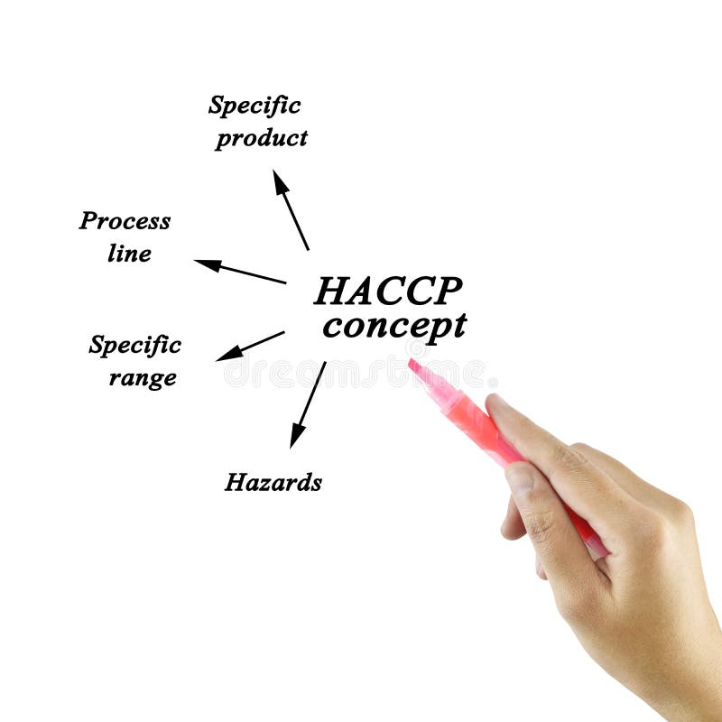 Woman Hand Writing HACCP Concept on Withe Background for Use in ...