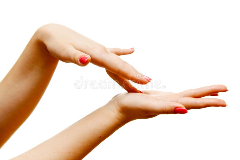 Woman hands stock photo. Image of isolated, person, polish - 13644958