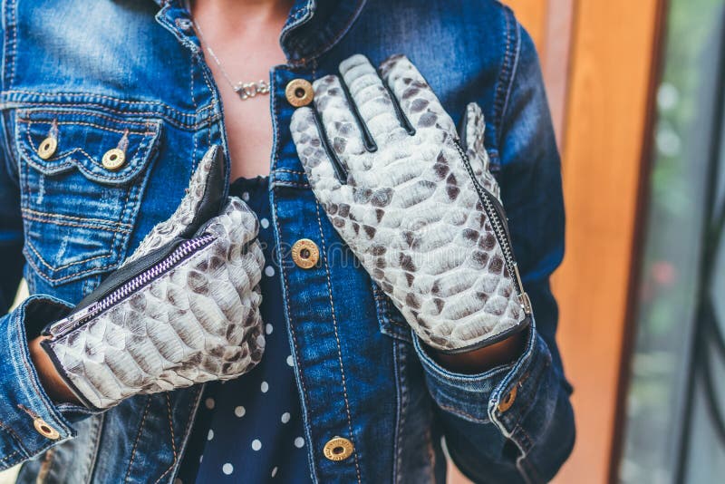Woman Hands with Black and White Fashionable Snakeskin Python Gloves ...