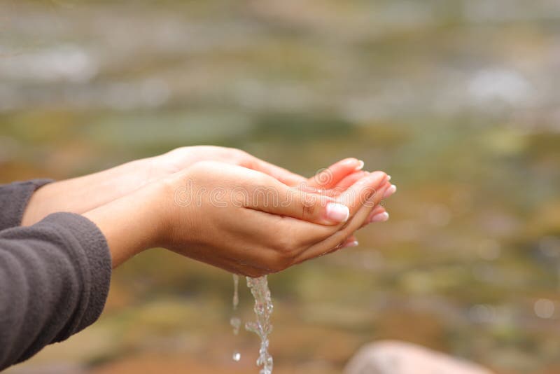 Woman Hands Catching Fresh Water from River Stock Image - Image of ...