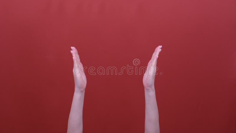 Woman Hands Clapping Applause Red Background in Studio Stock Video ...