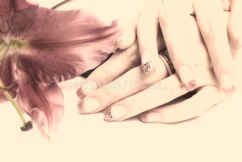 Woman hands and flower stock image. Image of people, caucasian - 10651879