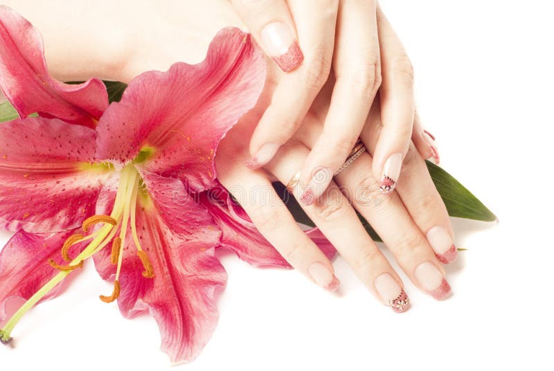 Woman hands and flower stock photo. Image of nail, flower - 9914196