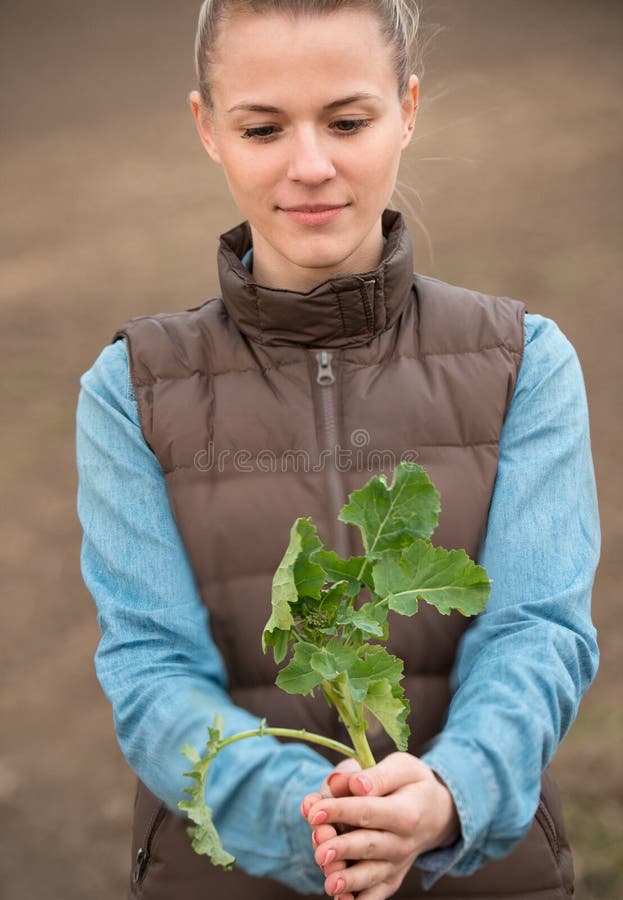 Woman Hands Holding Green Small Rapeseed Sprout. Stock Photo - Image of ...