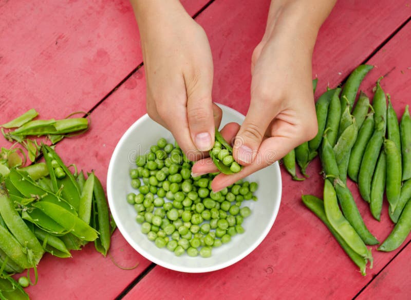 Woman Hands Hull Peas Shell White Plate Red Table Stock Photo - Image ...