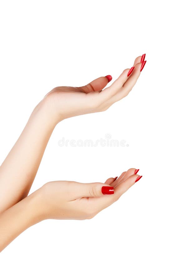 Two wide open woman hands stock photo. Image of hands - 2316158