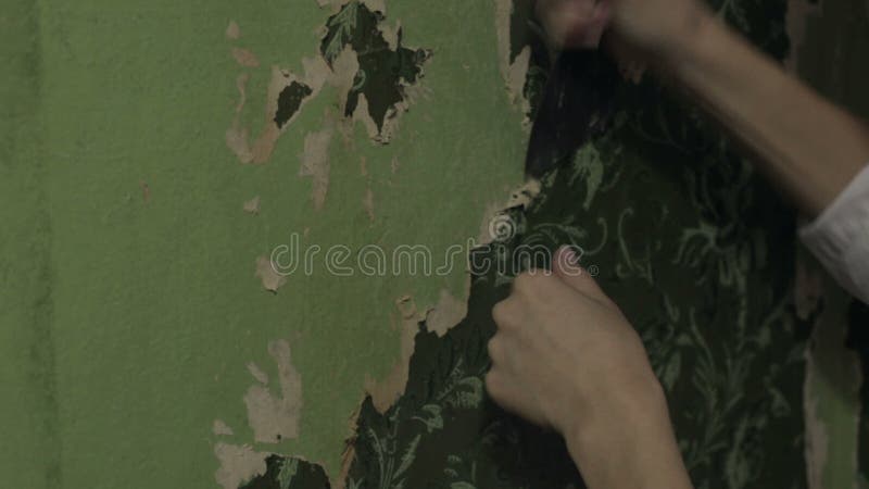 Woman Hands Removing Wallpaper Stock Footage - Video of removal ...