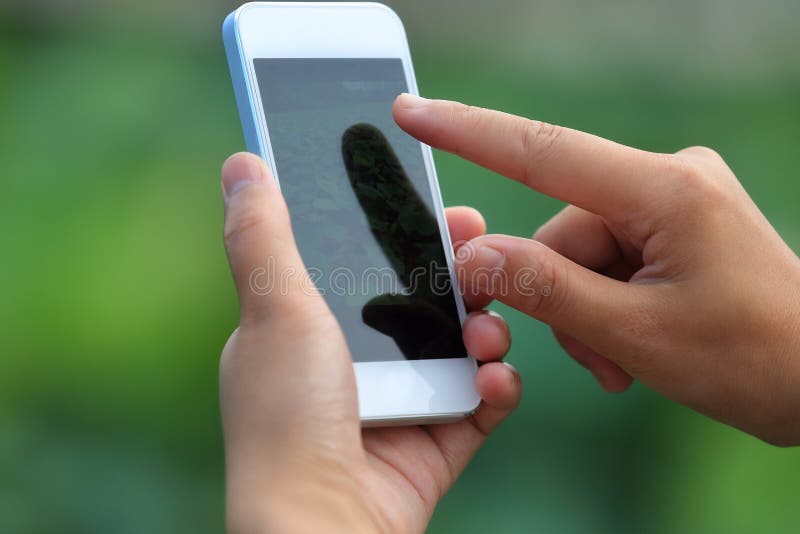 Woman Hands Taking Photo with Smartphone Stock Photo - Image of cell ...