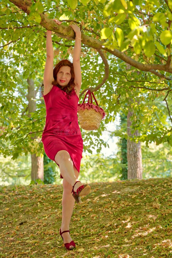 Woman hanging from tree stock photo. Image of happy - 105233546