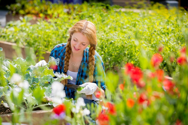 Woman with Happy Smile in Garden Stock Photo - Image of beautiful ...