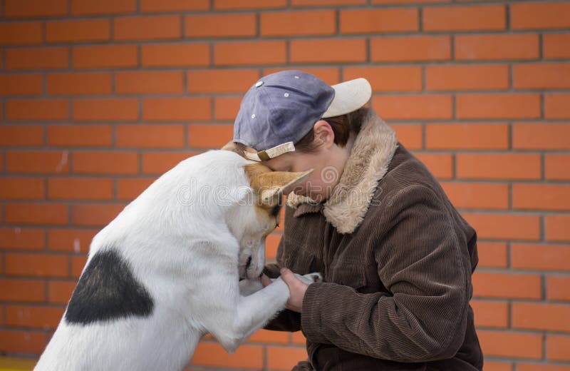 Woman Having Intimate Conversation with Her Dog Stock Image - Image of ...