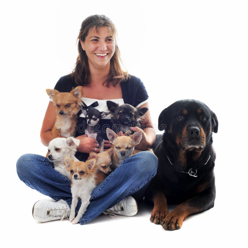 Woman with pets stock image. Image of woman, home, vasa - 858747