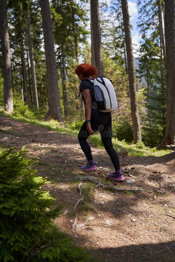 Woman Hiker with Backpack in a Pine Forest Stock Photo - Image of adult, lifestyle: 317164140