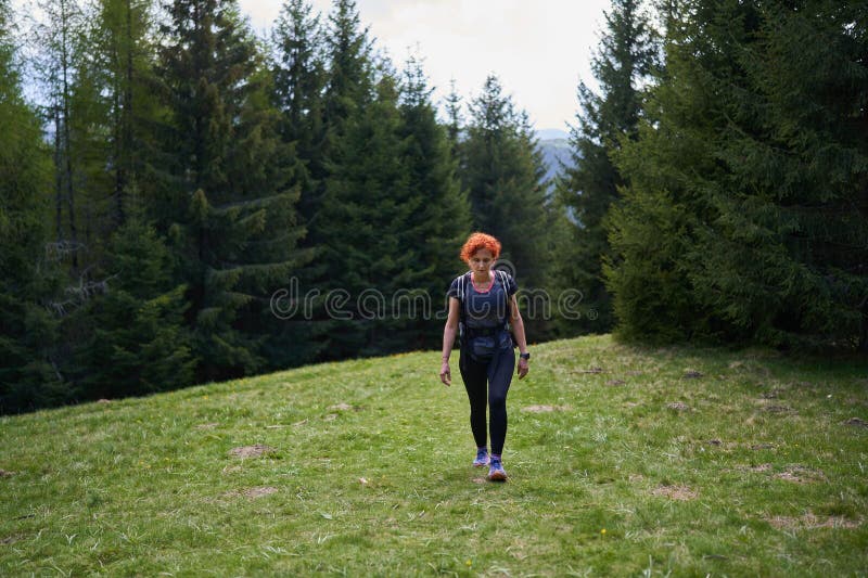 Woman Hiker with Backpack in a Pine Forest Stock Photo - Image of hiker, hiking: 317164148