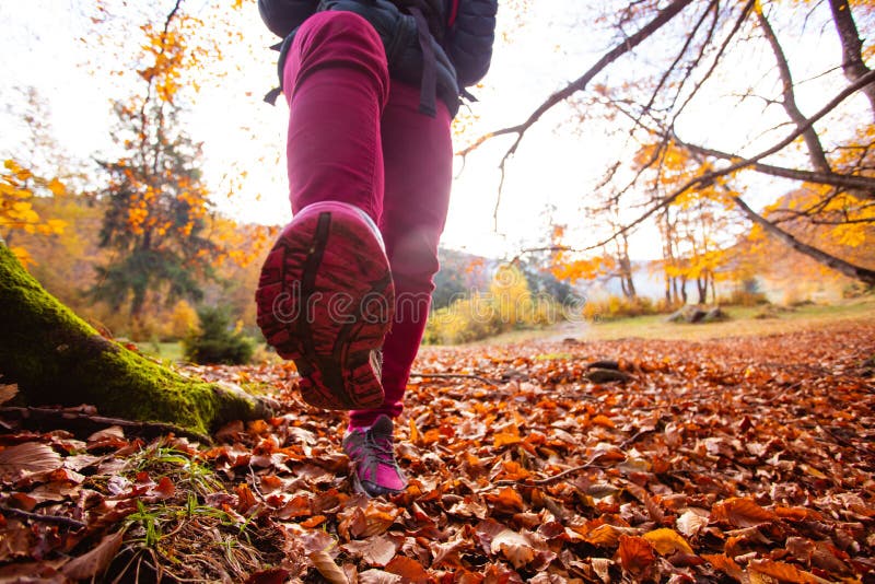 The Woman Hiker Steps on the Camera in the Autumn Forest Stock Photo ...