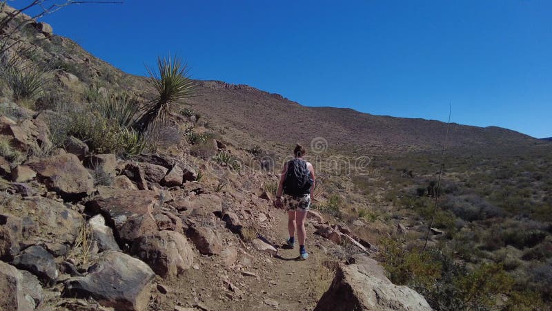 Woman Hikes on Cloudless Day in the Texas Desert Stock Footage - Video ...