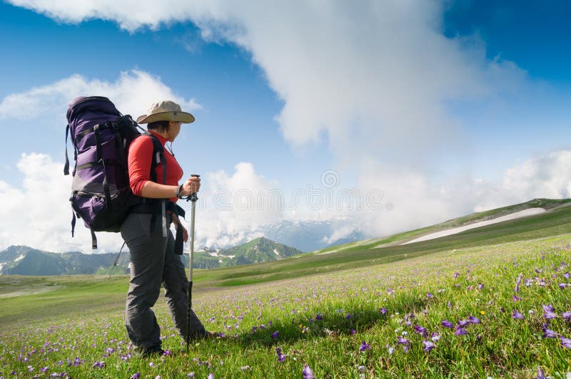Woman hiking stock photo. Image of mountain, hike, nature - 20492962