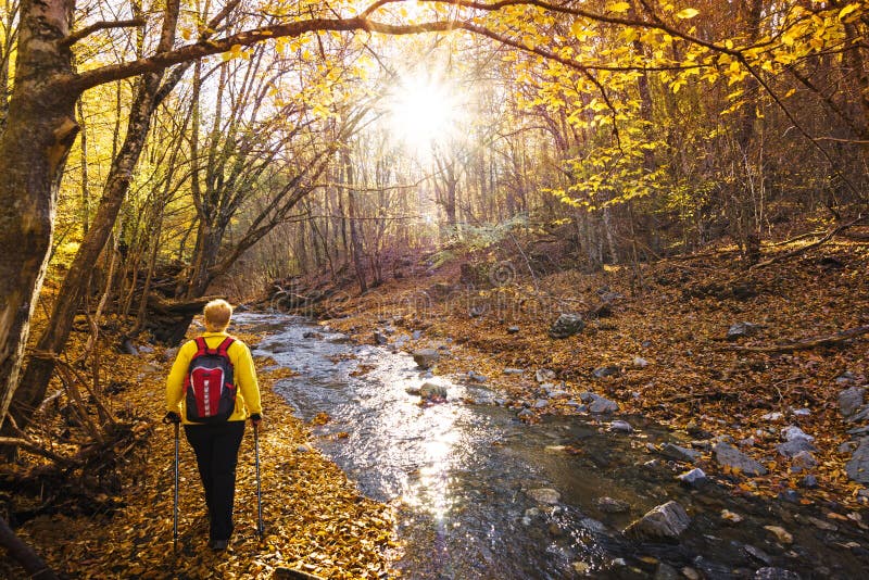Hiking in autumn forest stock photo. Image of fall, bulgaria - 103122284