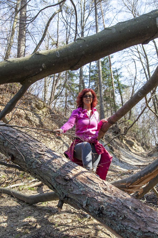 Woman Hiking Over a Fallen Tree Trunks Stock Photo - Image of brunette ...